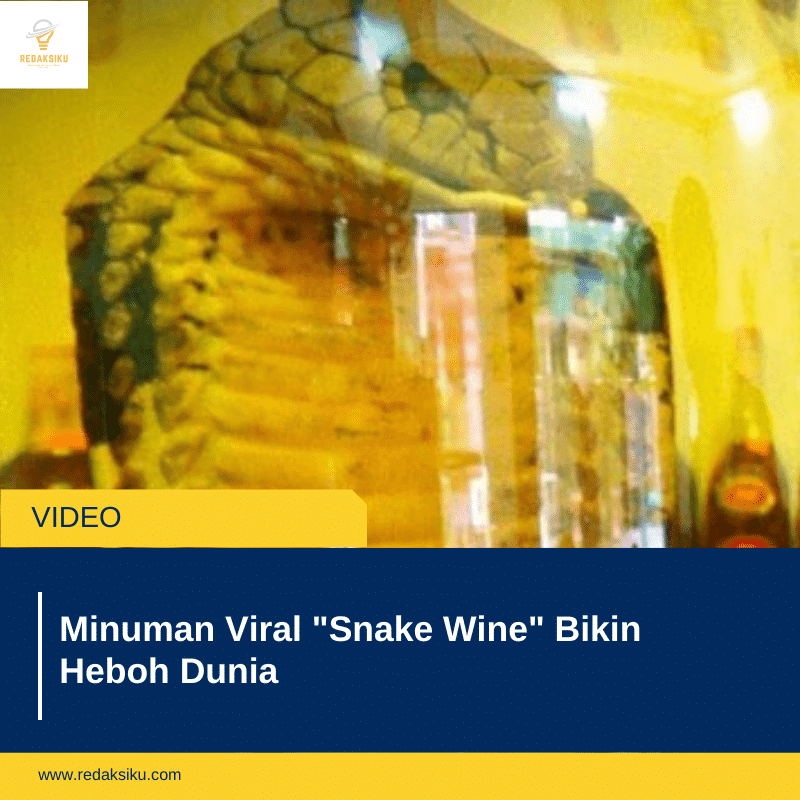 Minuman Viral "Snake Wine" Bikin Heboh Dunia
